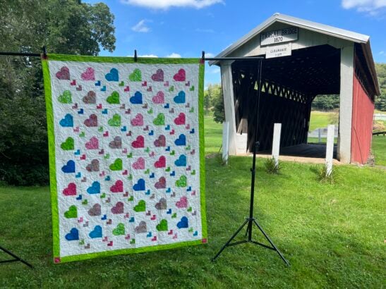 Designer Spotlight - Claudia Porter - Patchwork Posse