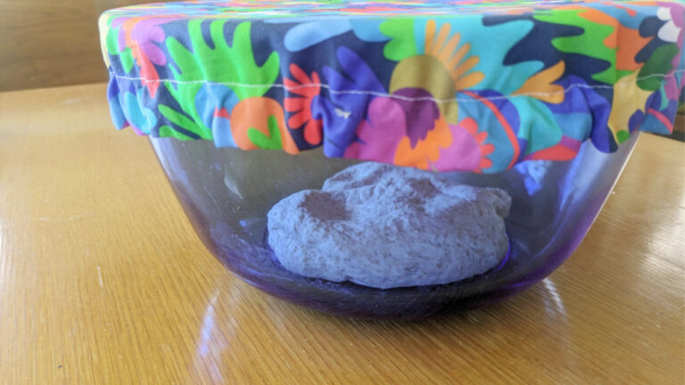 Reversible and Reusable Bowl Cover Pattern - Patchwork Posse